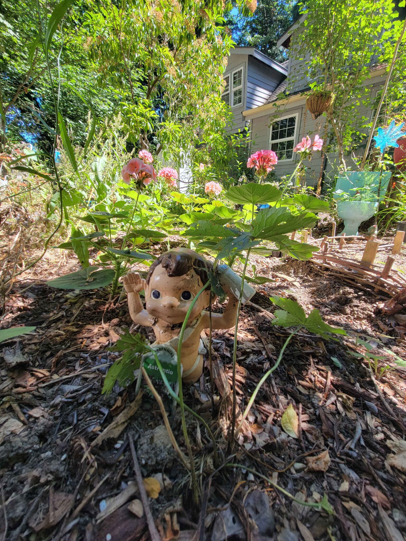 Home | Native STEM Portraits