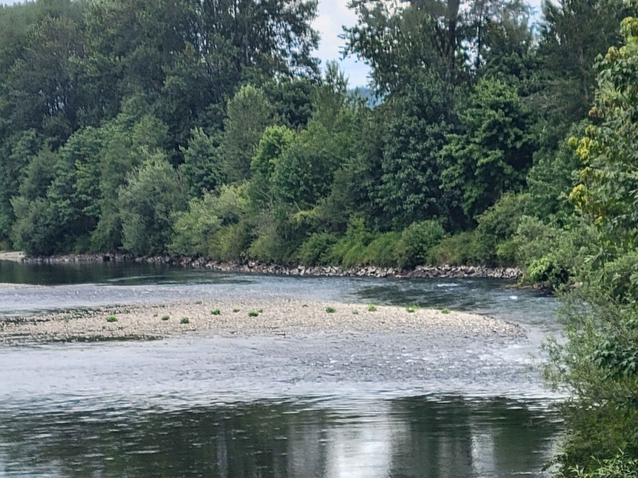 River | Native STEM Portraits
