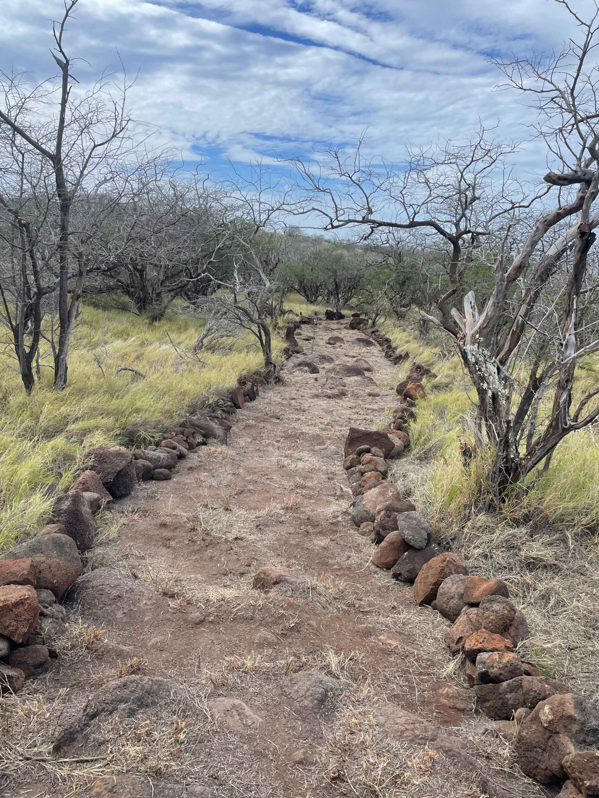 Alaloa | Native STEM Portraits