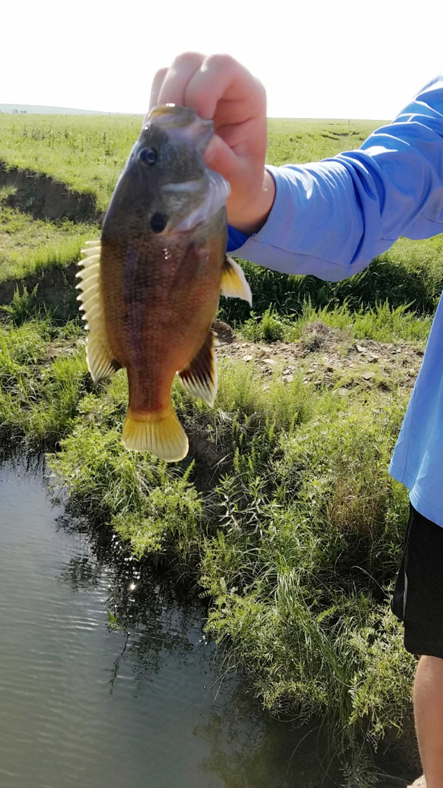 Fishing | Native STEM Portraits