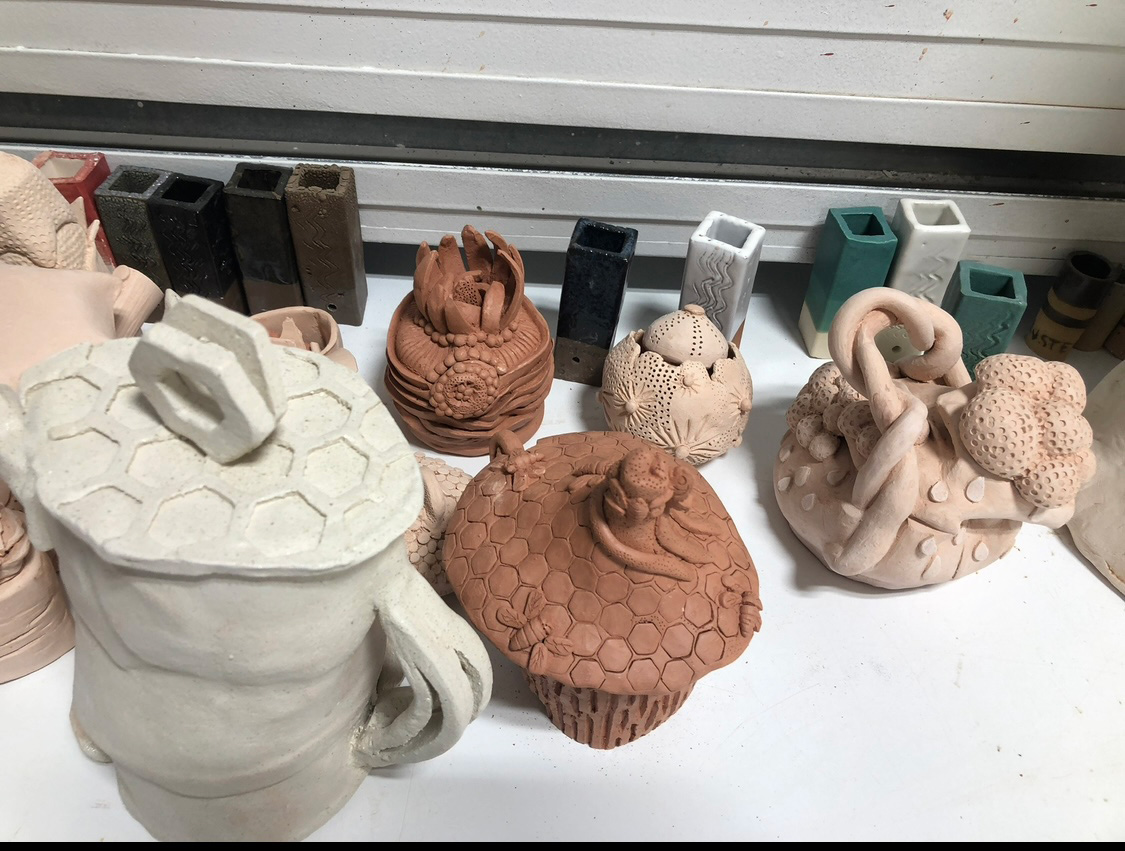 Connecting Clay for Conservation | Native STEM Portraits