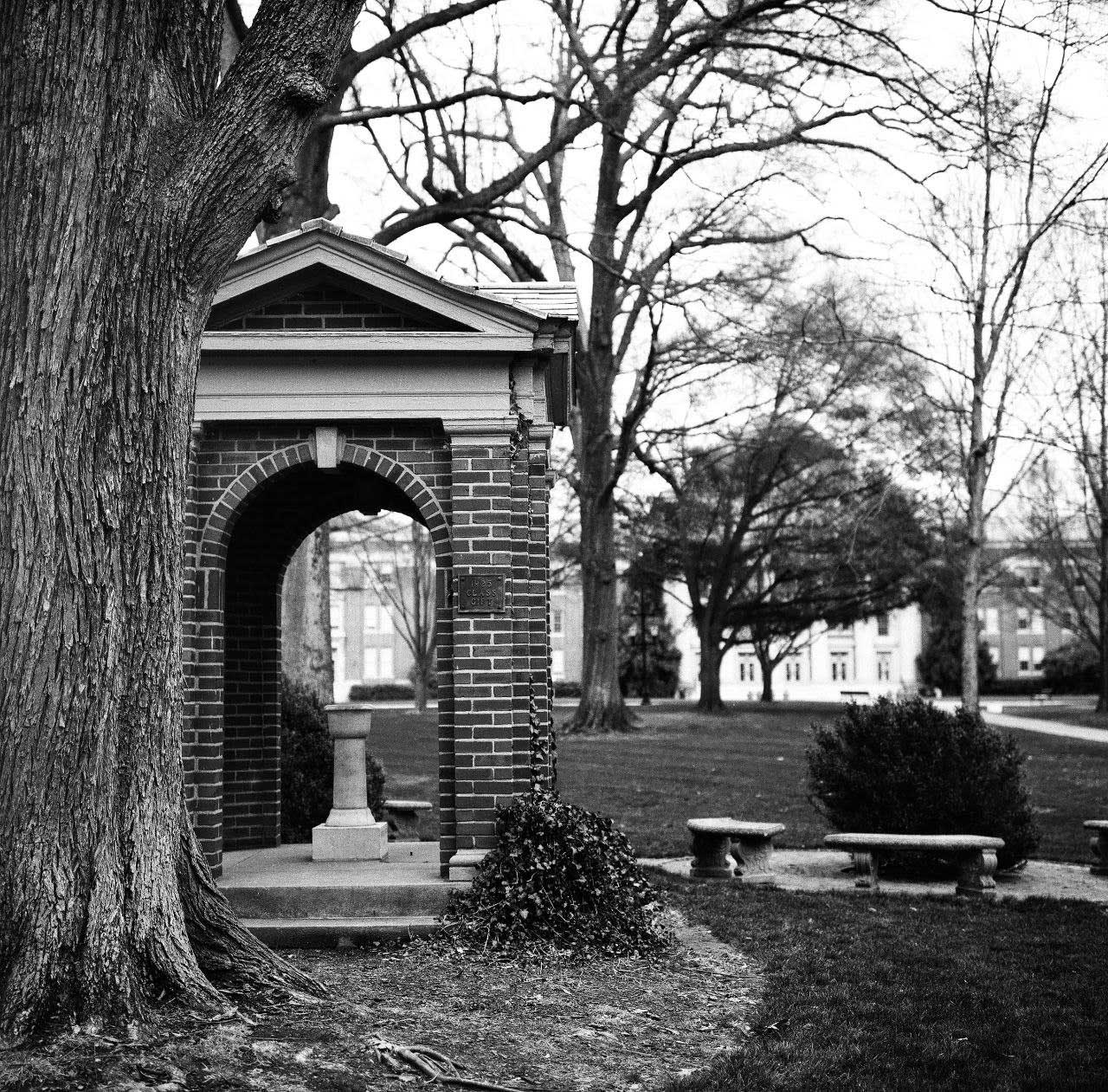 Native Land | Native STEM Portraits