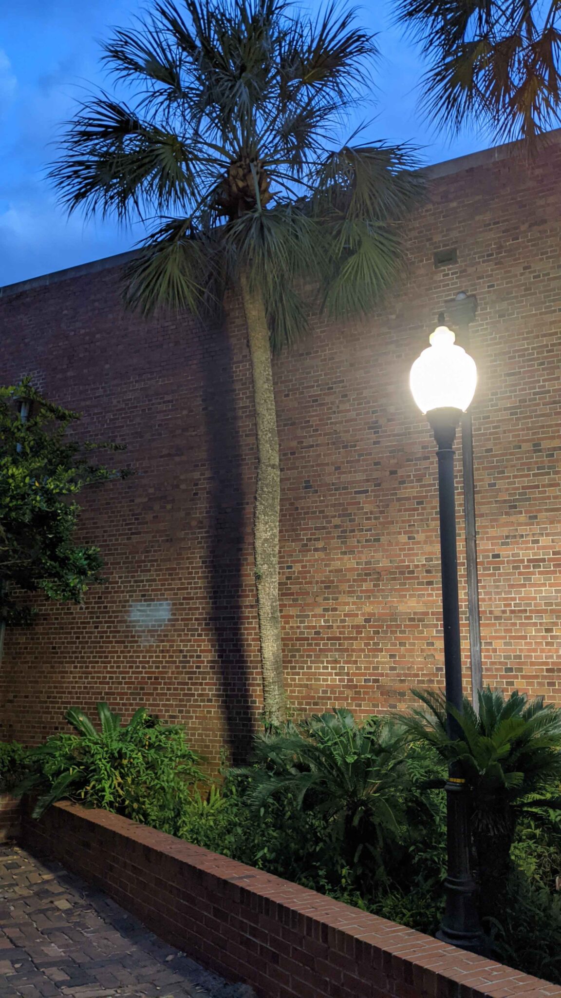 Flora | Native STEM Portraits