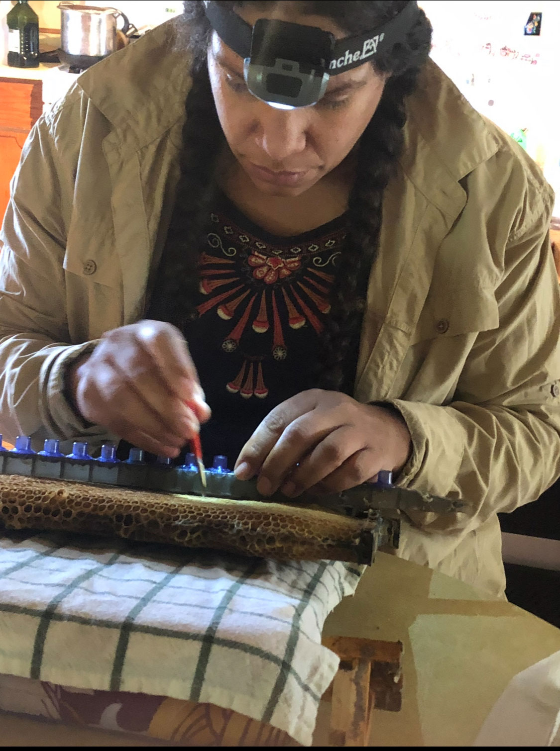 Transferring Baby Queen Bees-to-be Through Biomimicry and Reciprocity ...