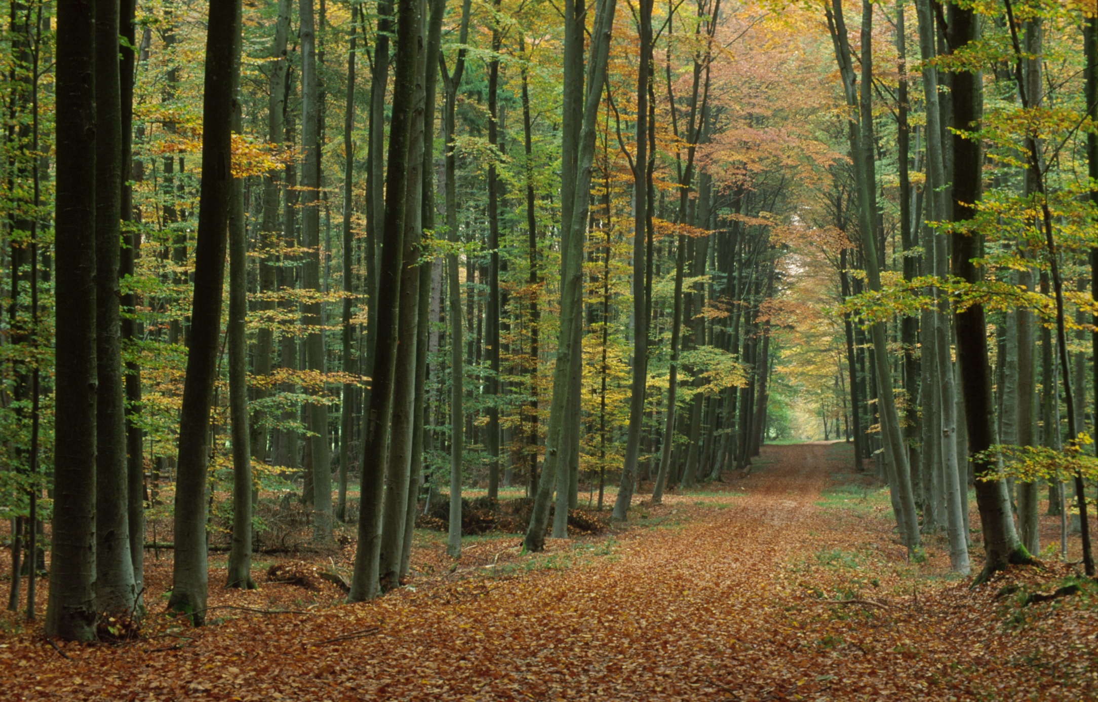 STEM Learning Ecosystems | Neurodiversity in STEM at TERC